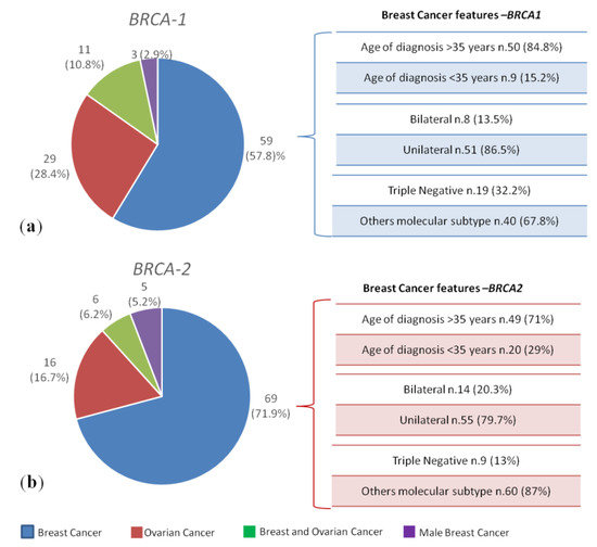 Cancers Special Issue The Long Journey Into Brca1 2 Genes Goes On The Emerging Landscape In