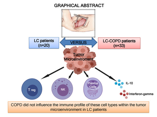 Cancers | Free Full-Text | Immune Cell Subtypes and Cytokines in Lung ...