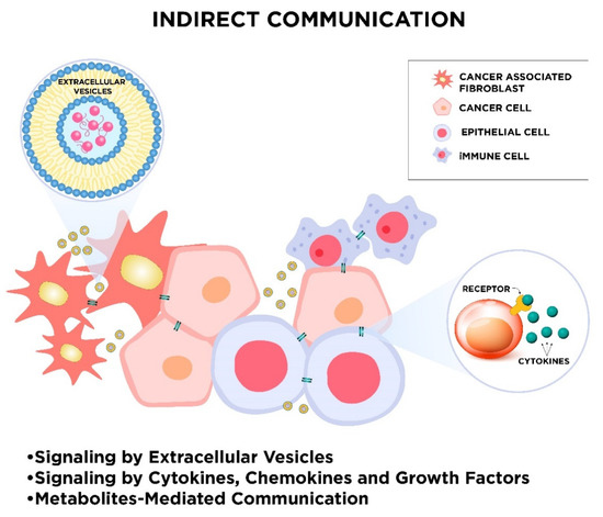 Communication in the Cancer Microenvironment as a Target for ...