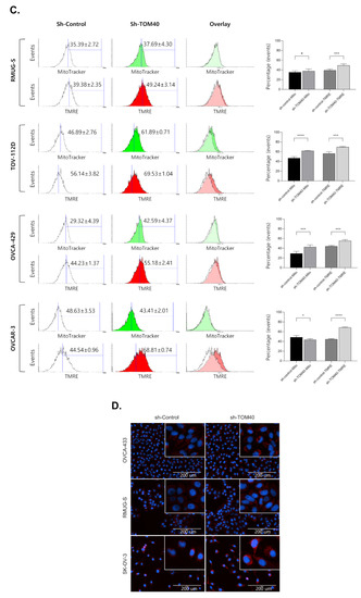 TOM40 Inhibits Ovarian Cancer Cell Growth by Modulating Mitochondrial ...