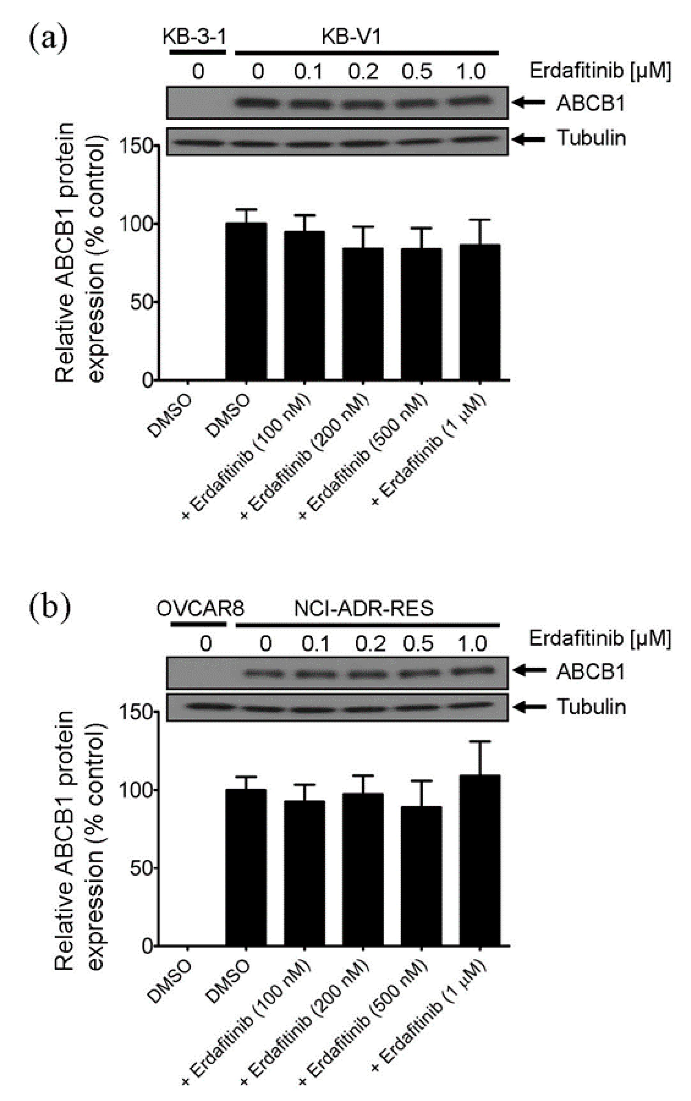 Erdafitinib Resensitizes ABCB1-Overexpressing Multidrug-Resistant ...