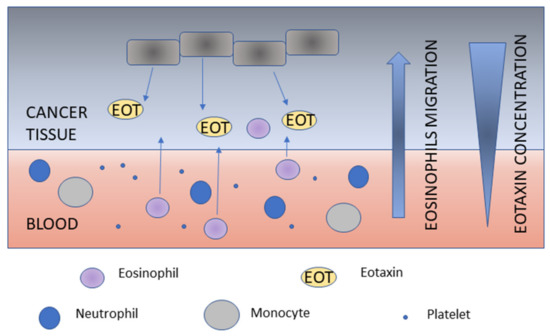 Eotaxins and Their Receptor in Colorectal Cancer—A Literature Review