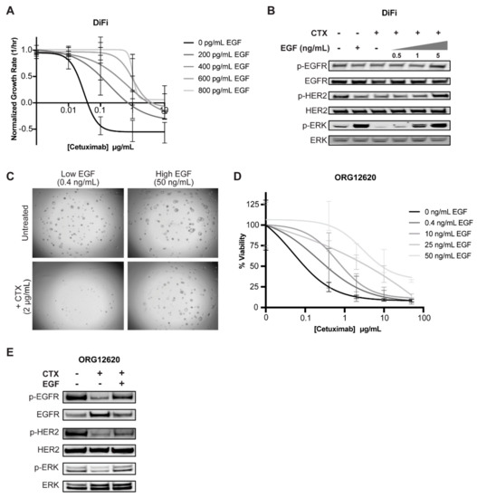 Anti-EGFR Therapy Induces EGF Secretion by Cancer-Associated ...