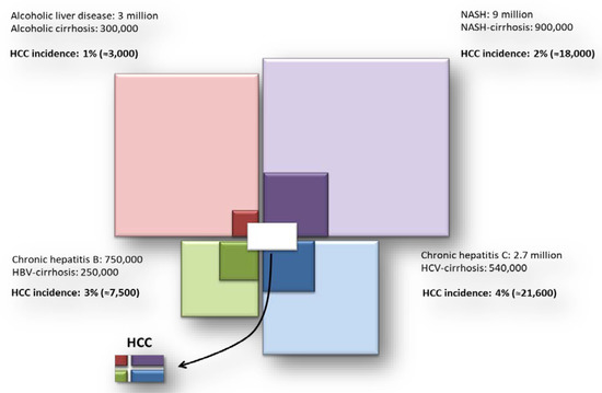 Surveillance for Hepatocellular Carcinoma in Patients with Non ...