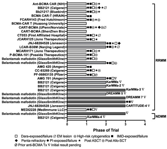 BCMA-Targeting Therapy: Driving a New Era of Immunotherapy in Multiple Myeloma