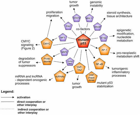 Cancers Free Full Text A Driver Never Works Alone—interplay