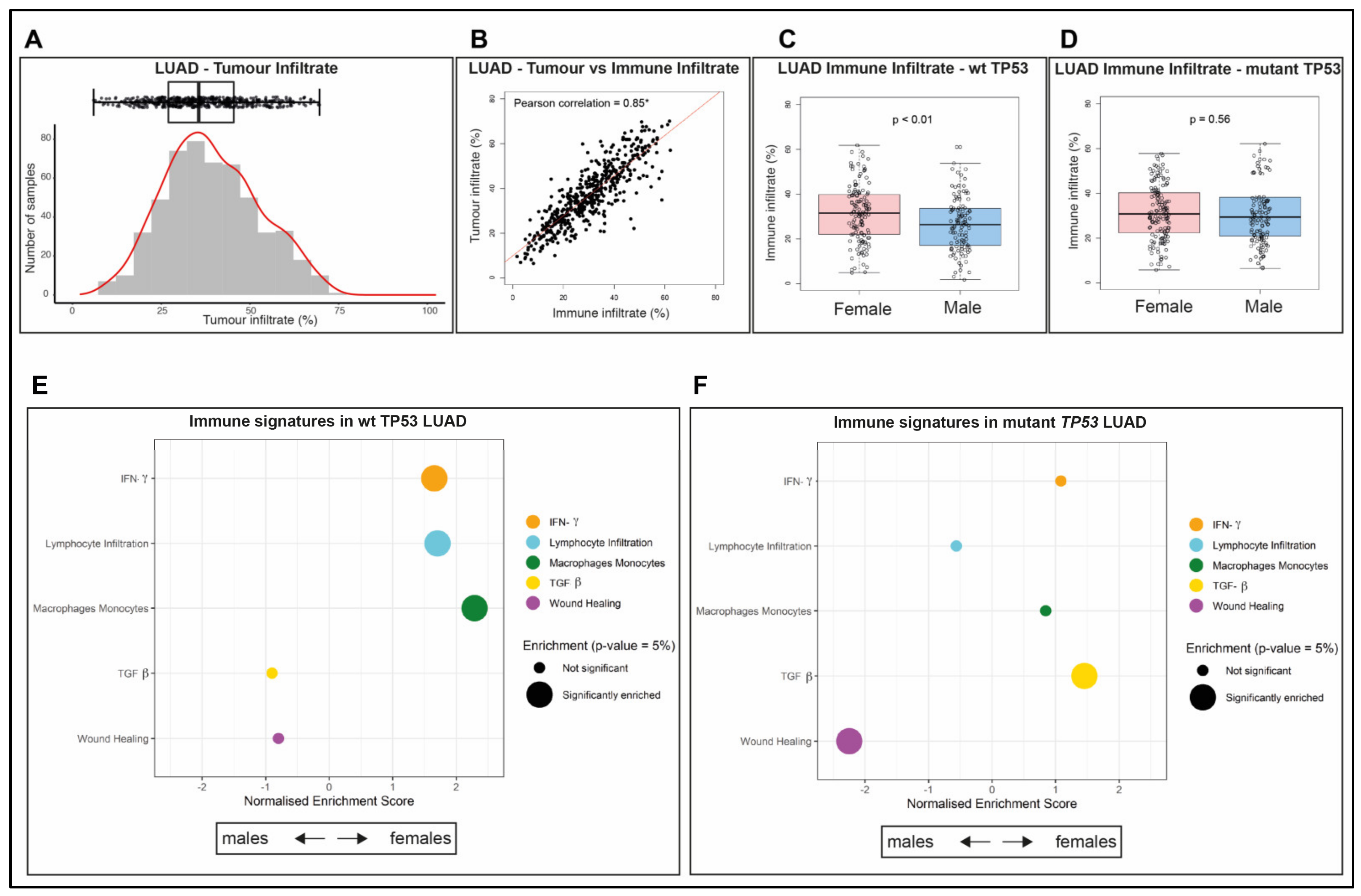 Cancers Free Full Text Tp53 Status Patient Sex And The Immune