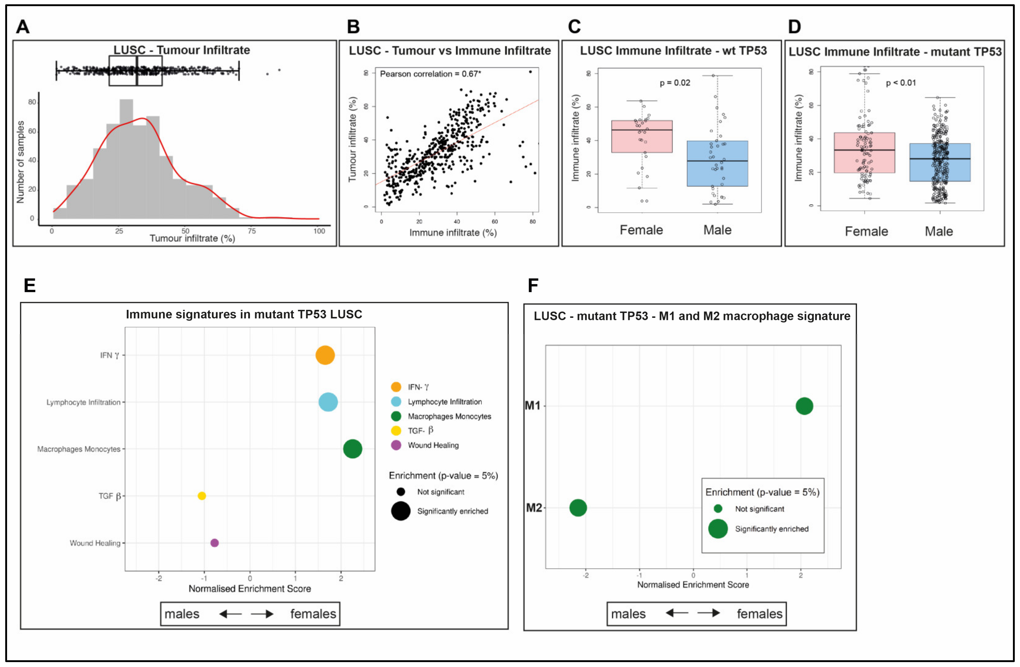 Cancers Free Full Text Tp53 Status Patient Sex And The Immune