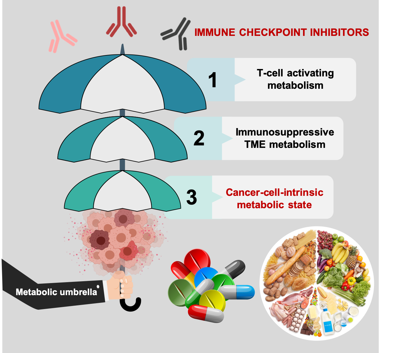 Cancers | Free Full-Text | Tumor Cell-Intrinsic Immunometabolism and ...