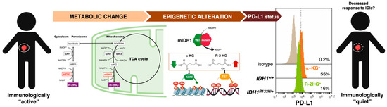 Tumor Cell-Intrinsic Immunometabolism and Precision Nutrition in Cancer ...