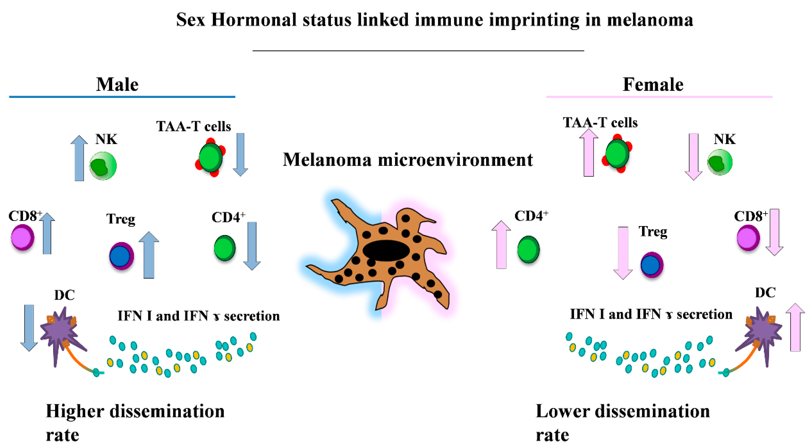 Cancers Free Full Text Sex And Gender Disparities In Melanoma