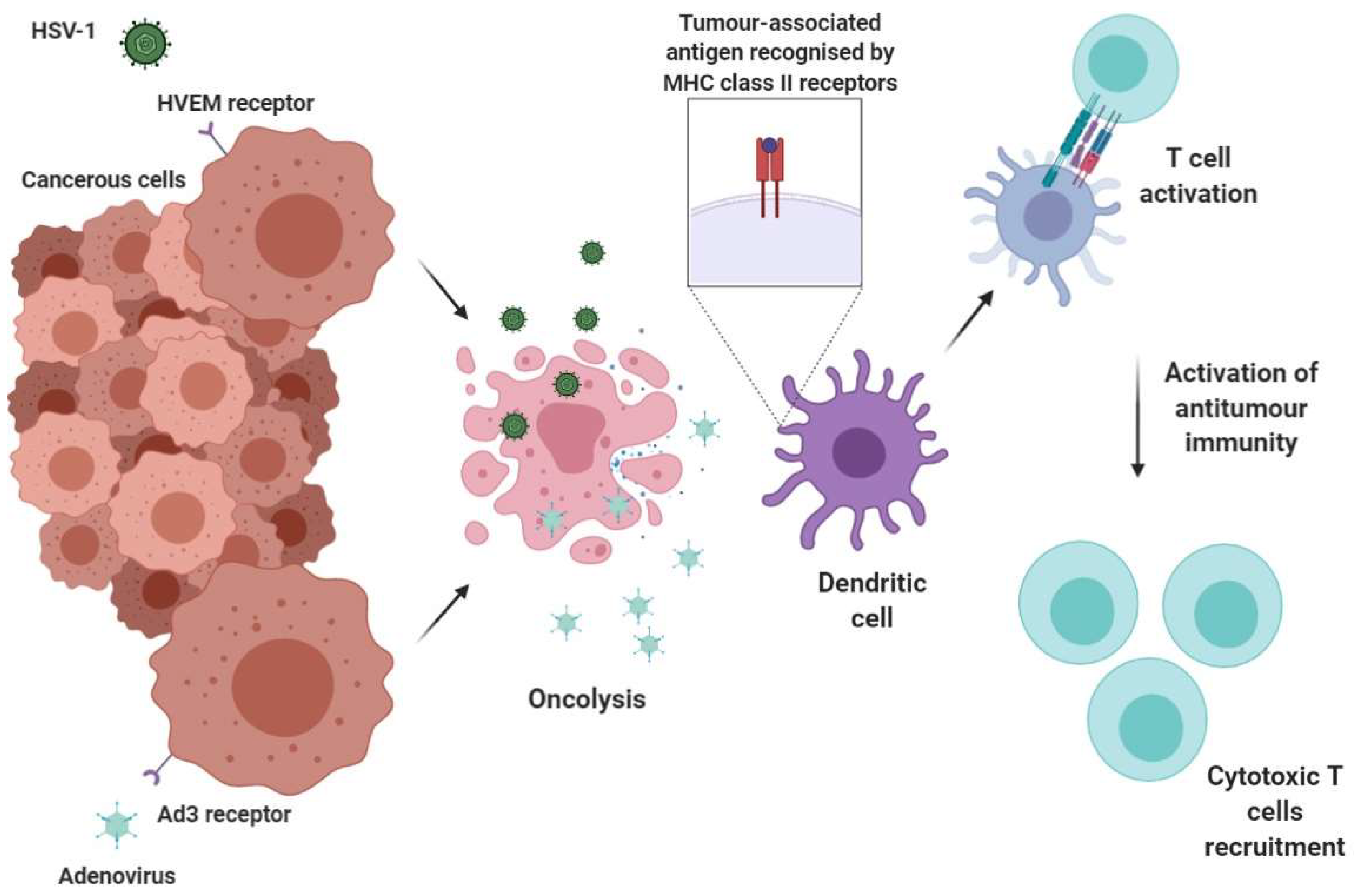 Cancers Free Full Text Advances In Anti Cancer Immunotherapy Car T