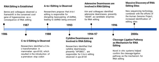 Non-Coding RNA Editing in Cancer Pathogenesis
