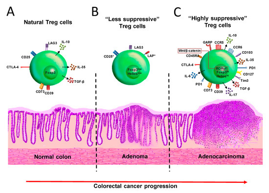 Cancers | Special Issue : Targeting Therapy for Colon Cancer