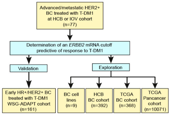 ERBB2 mRNA Expression and Response to Ado-Trastuzumab Emtansine (T-DM1) in HER2-Positive Breast ...