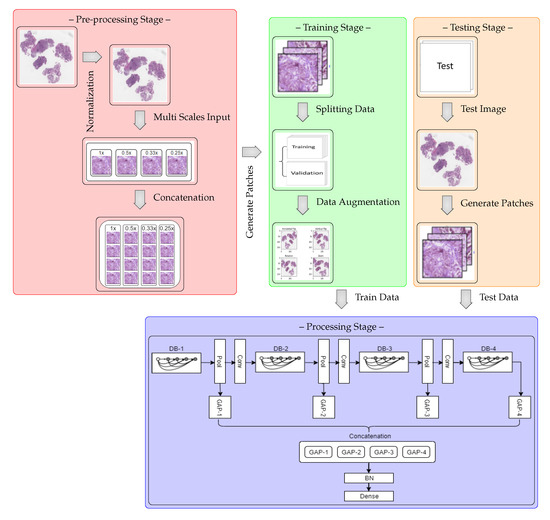 Histopathological Classification of Breast Cancer Images Using a Multi-Scale Input and Multi ...