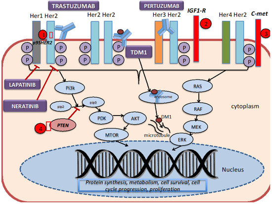 Cancers | Free Full-Text | The Changing Paradigm for the Treatment of ...