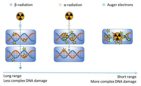 Cancers | Free Full-Text | DNA Damage-Inducing Anticancer Therapies ...