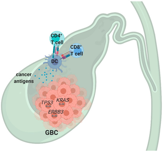 Molecular and Immunological Characterization of Biliary Tract Cancers ...