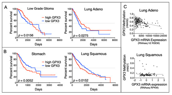 Extracellular Glutathione Peroxidase GPx3 and Its Role in Cancer