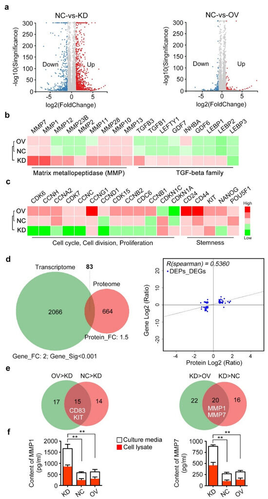 CD83, a Novel MAPK Signaling Pathway Interactor, Determines Ovarian ...