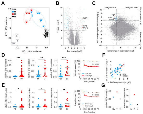 SP8 Promotes an Aggressive Phenotype in Hepatoblastoma via FGF8 Activation