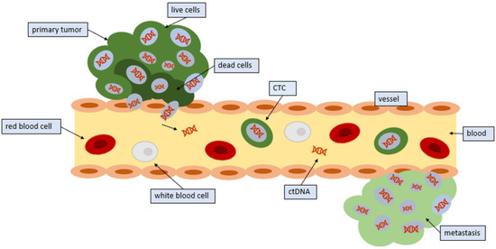 Circulating Tumor Cells: From the Laboratory to the Cancer Clinic