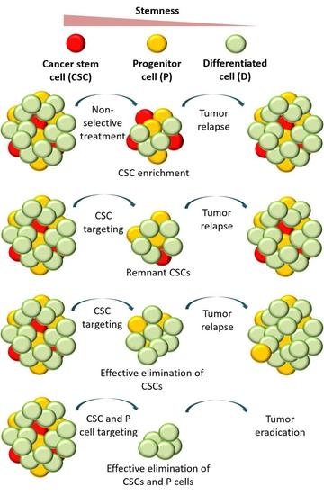 Cancers | Free Full-Text | A Mathematical Model of Average Dynamics in ...