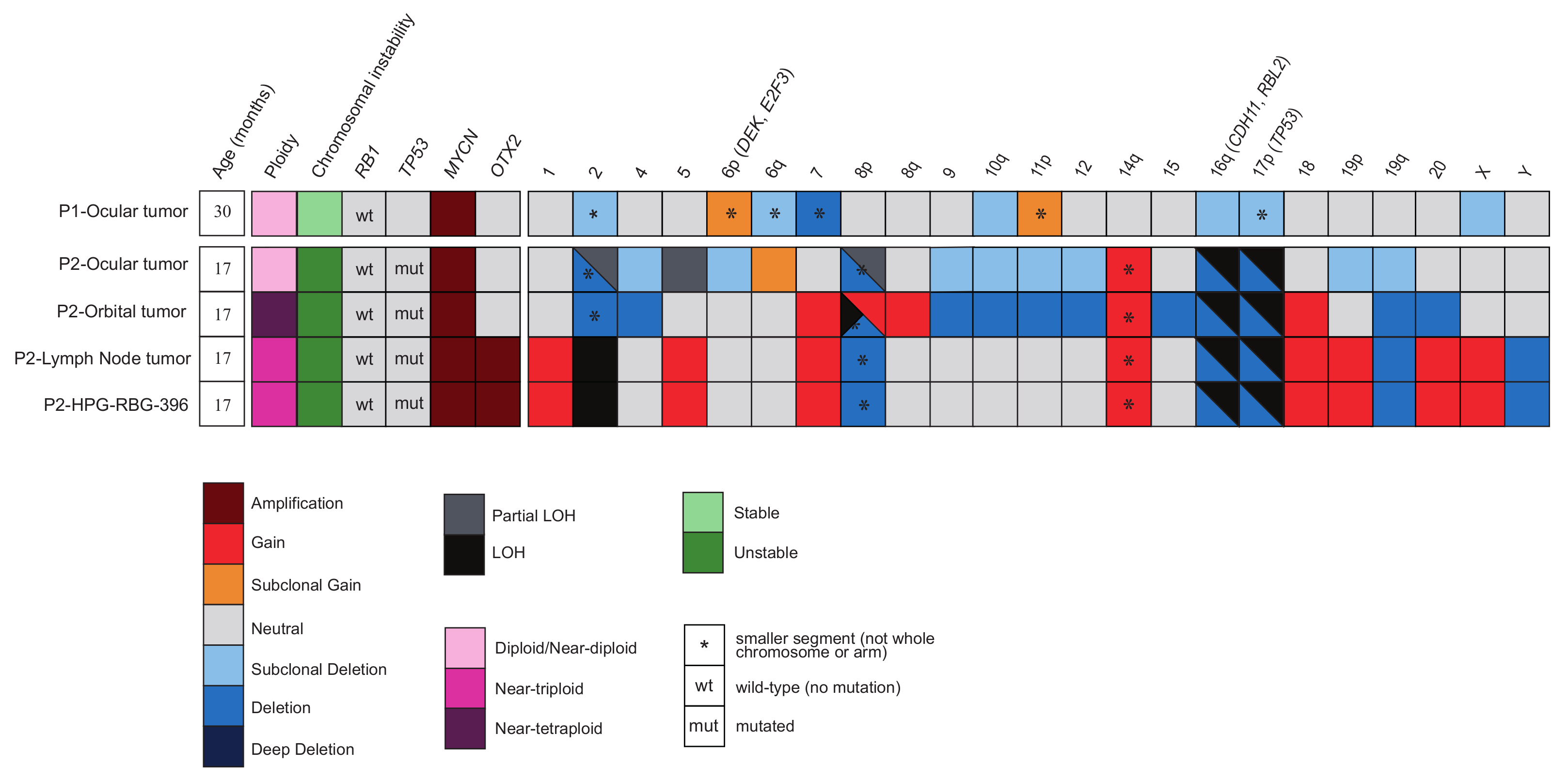 Cancers | Free Full-Text | Clinical, Genomic, and Pharmacological Study ...