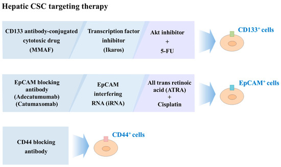 Targeting Liver Cancer Stem Cells: An Alternative Therapeutic Approach ...