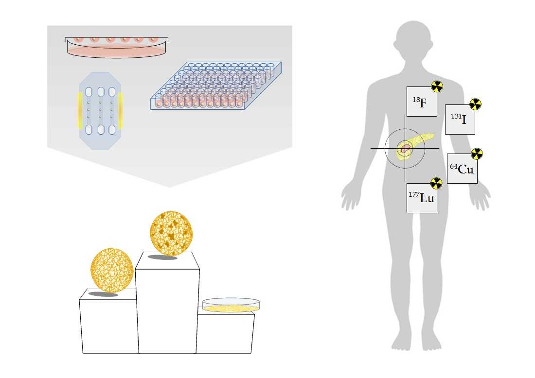 Cancers | Free Full-Text | Three-Dimensional Cell Culture Systems in ...