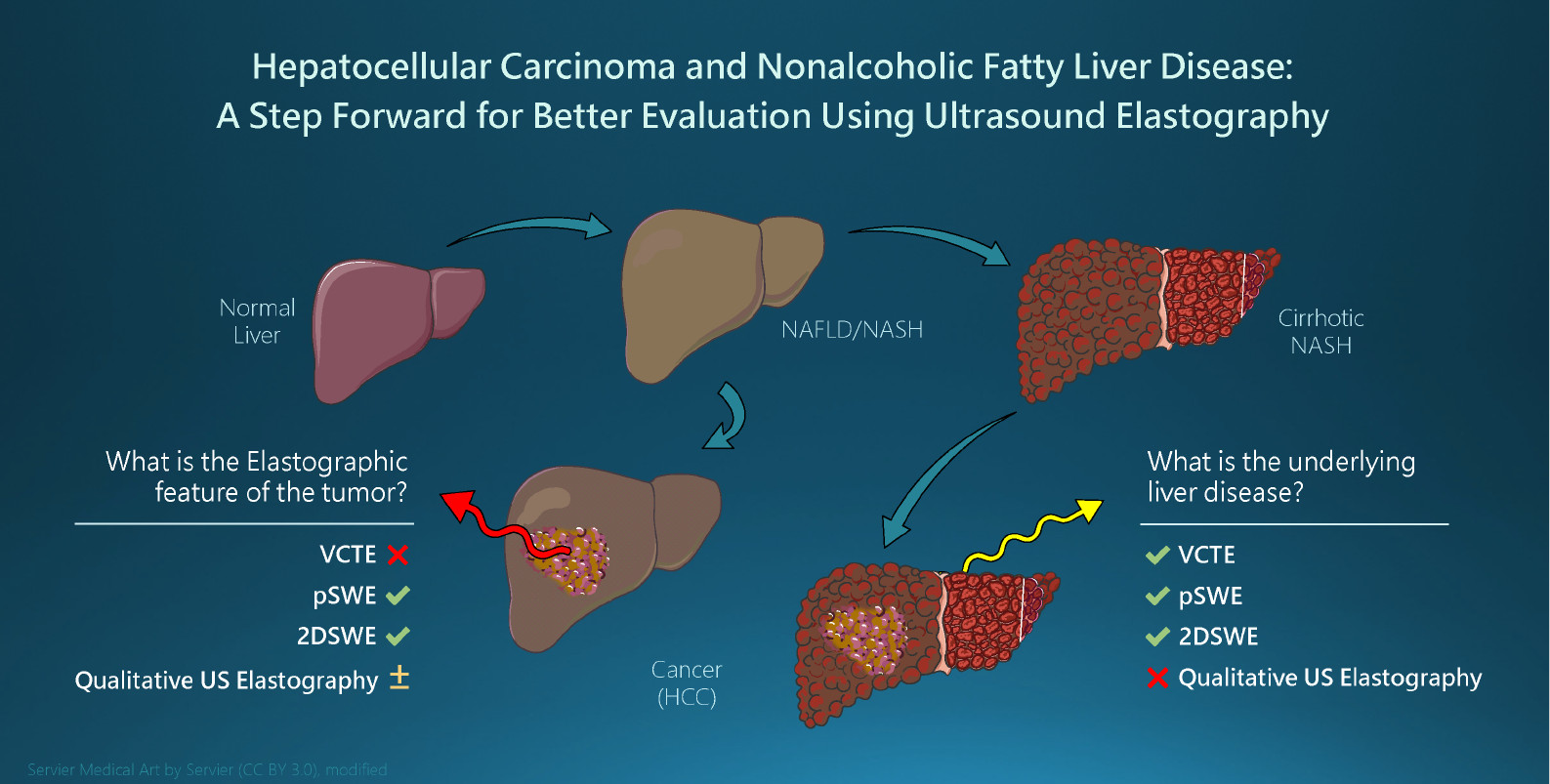 Cancers Free Full Text Hepatocellular Carcinoma And Non Alcoholic