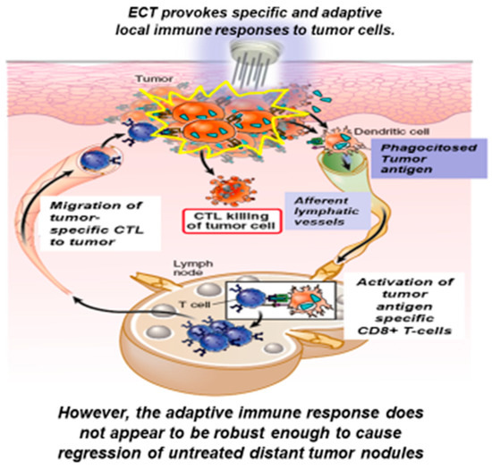 Cancers | Special Issue : Electrochemotherapy as Treatment for Head and ...