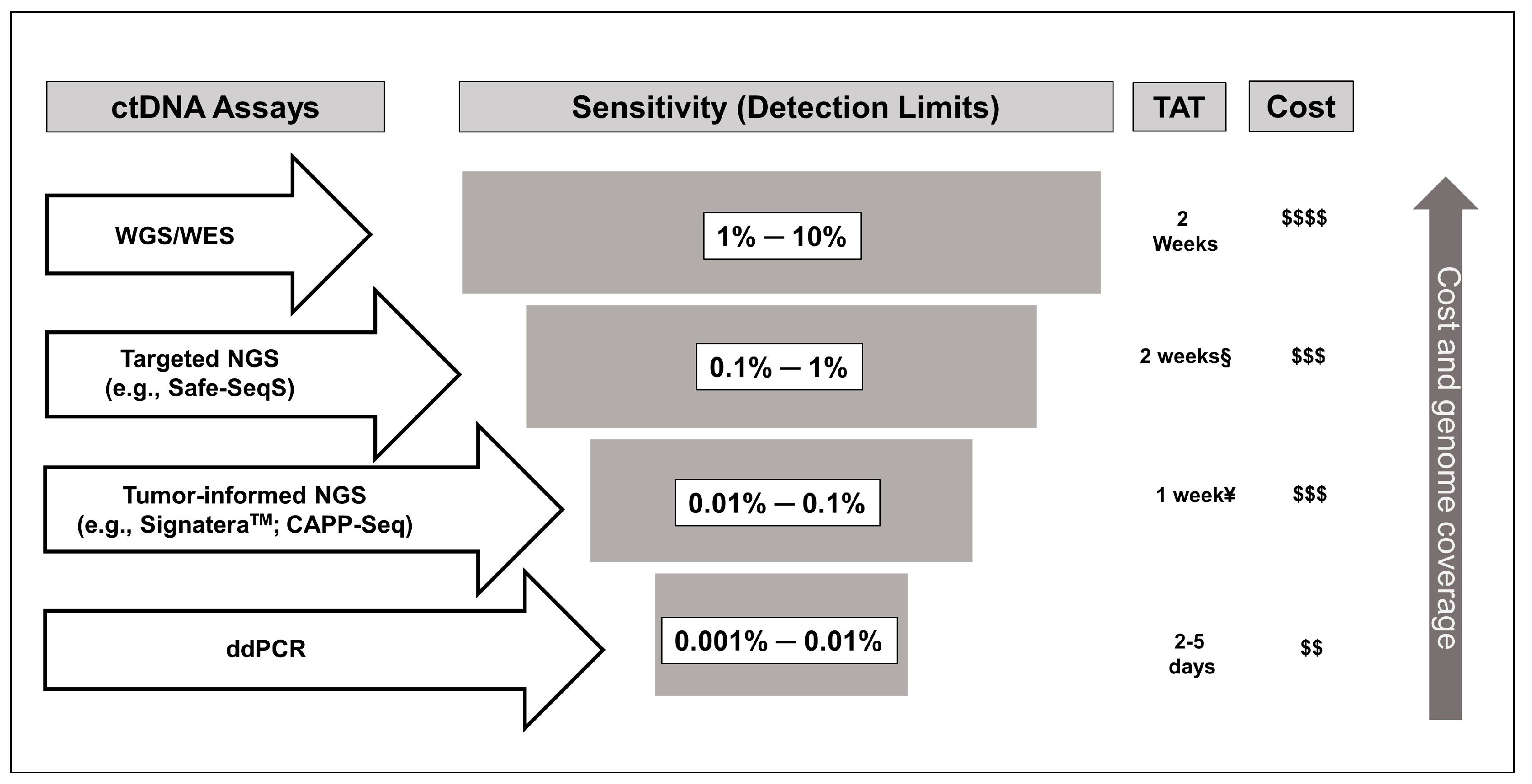 The Promise of Circulating Tumor DNA (ctDNA) in the Management of Early-Stage Colon Cancer: A ...