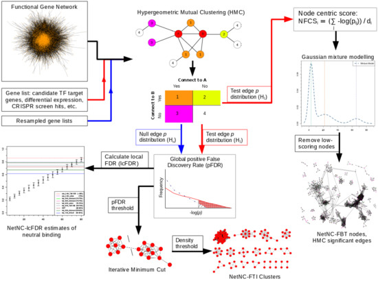 Cancers | Special Issue : Cancer Modeling and Network Biology
