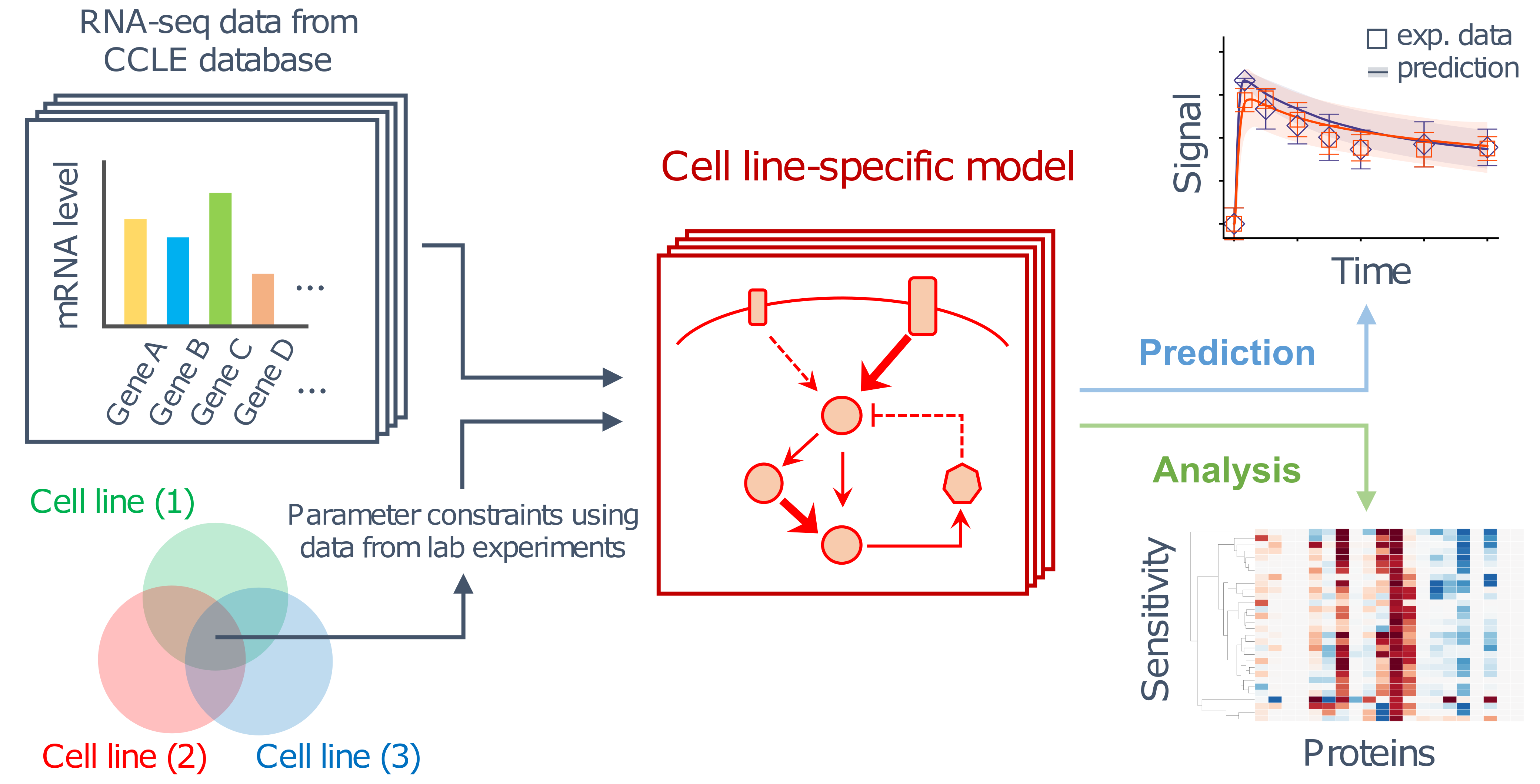 Cancers | Free Full-Text | A Computational Framework for Prediction and Analysis of Cancer ...