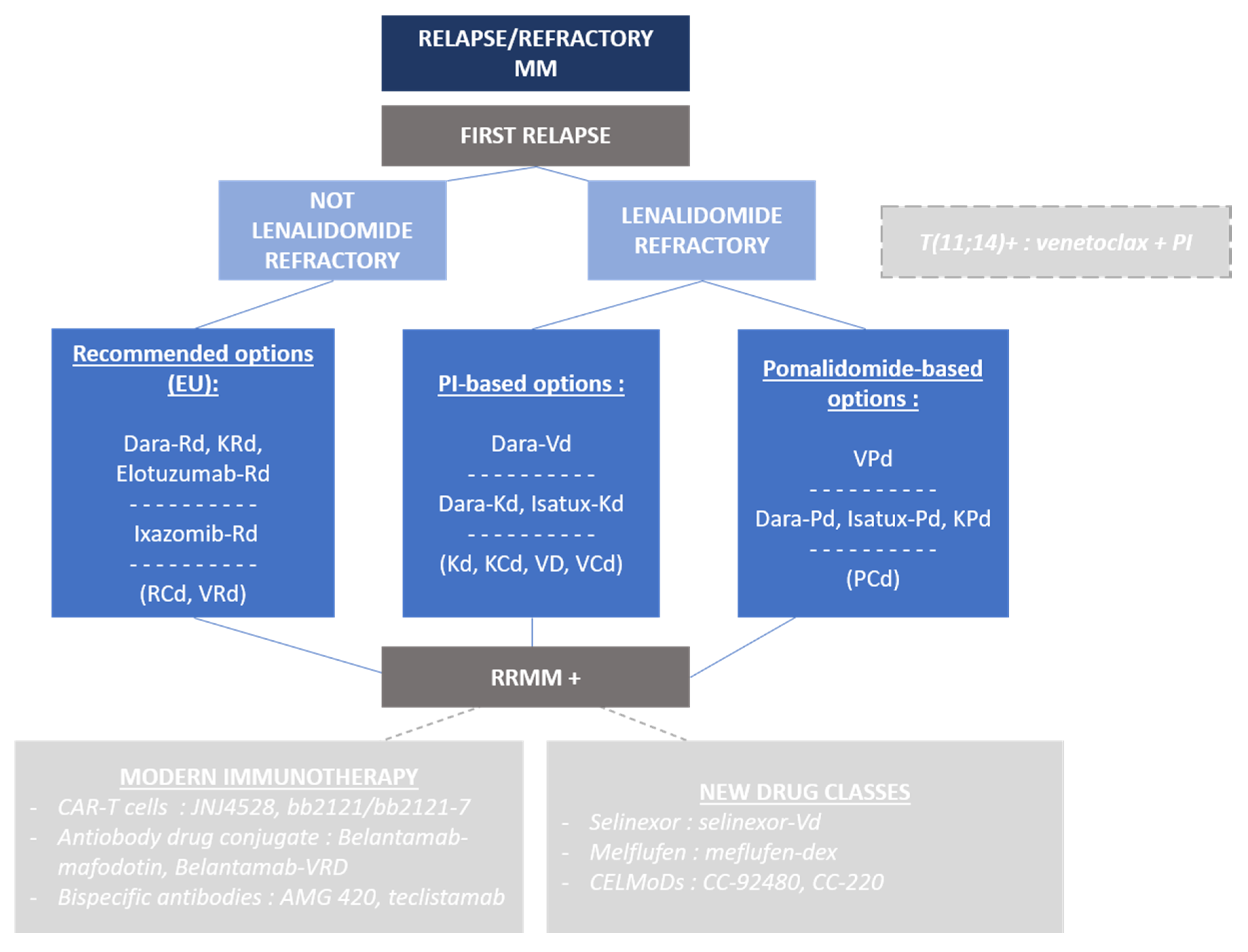 Multiple Myeloma: An Overview of the Current and Novel Therapeutic ...