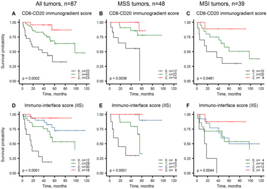 Immuno-Interface Score to Predict Outcome in Colorectal Cancer ...