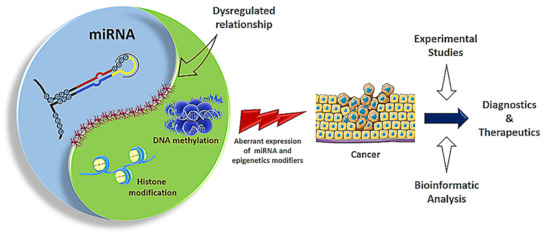 Cancers | Free Full-Text | Regulatory Mechanisms of Epigenetic miRNA ...