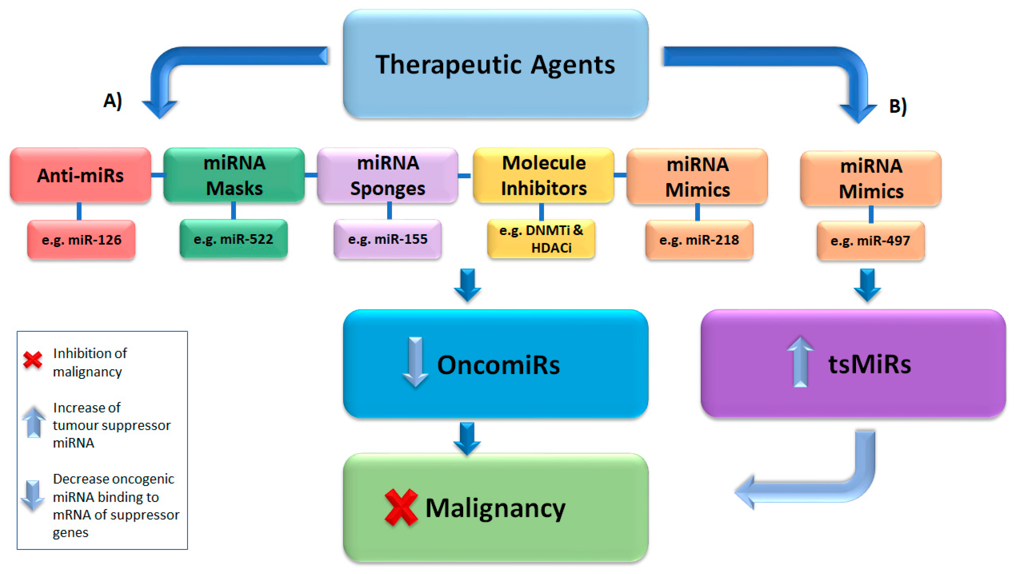 Regulatory Mechanisms of Epigenetic miRNA Relationships in Human Cancer ...