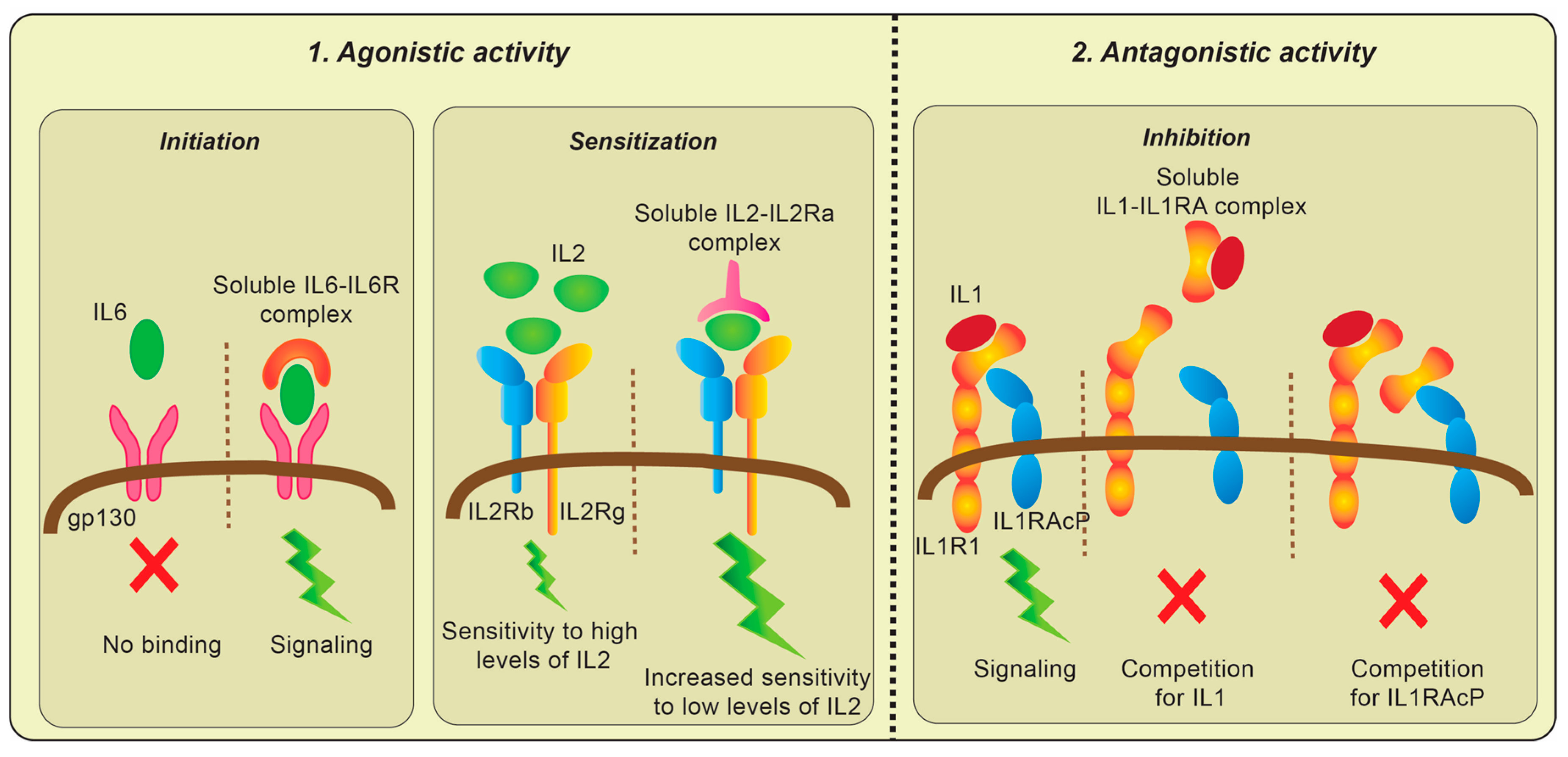 Quantification of Receptor Occupancy by Ligand—An Understudied Class of ...