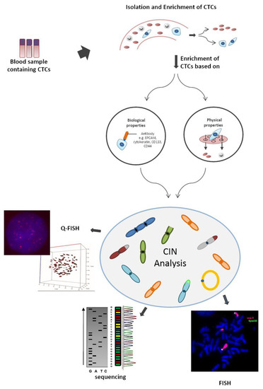 Genomic Instability in Circulating Tumor Cells