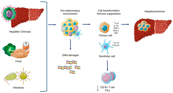Immune Checkpoint Inhibitors in Hepatocellular Carcinoma: Current Status and Novel Perspectives