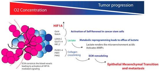 Therapy Resistance, Cancer Stem Cells and ECM in Cancer: The Matrix ...