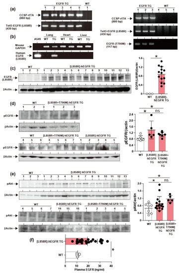 De Novo T790M Mutation in an L858R Epidermal Growth Factor Receptor ...