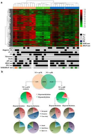 Comprehensive Analysis of DNA Methylation and Prediction of Response to ...