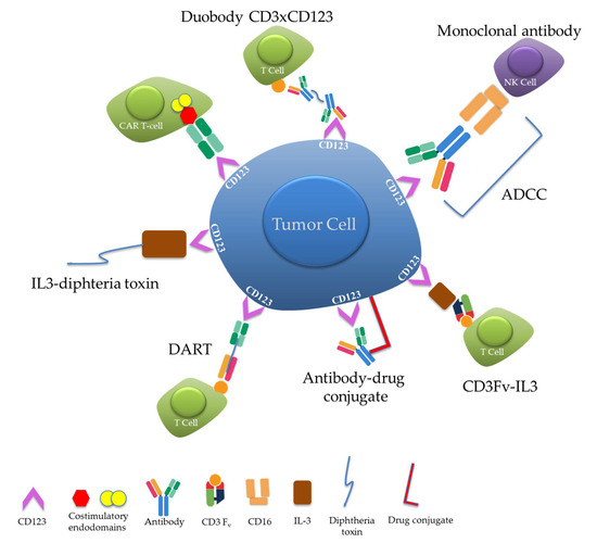 Cancers | Free Full-Text | CD123 as a Biomarker in Hematolymphoid ...