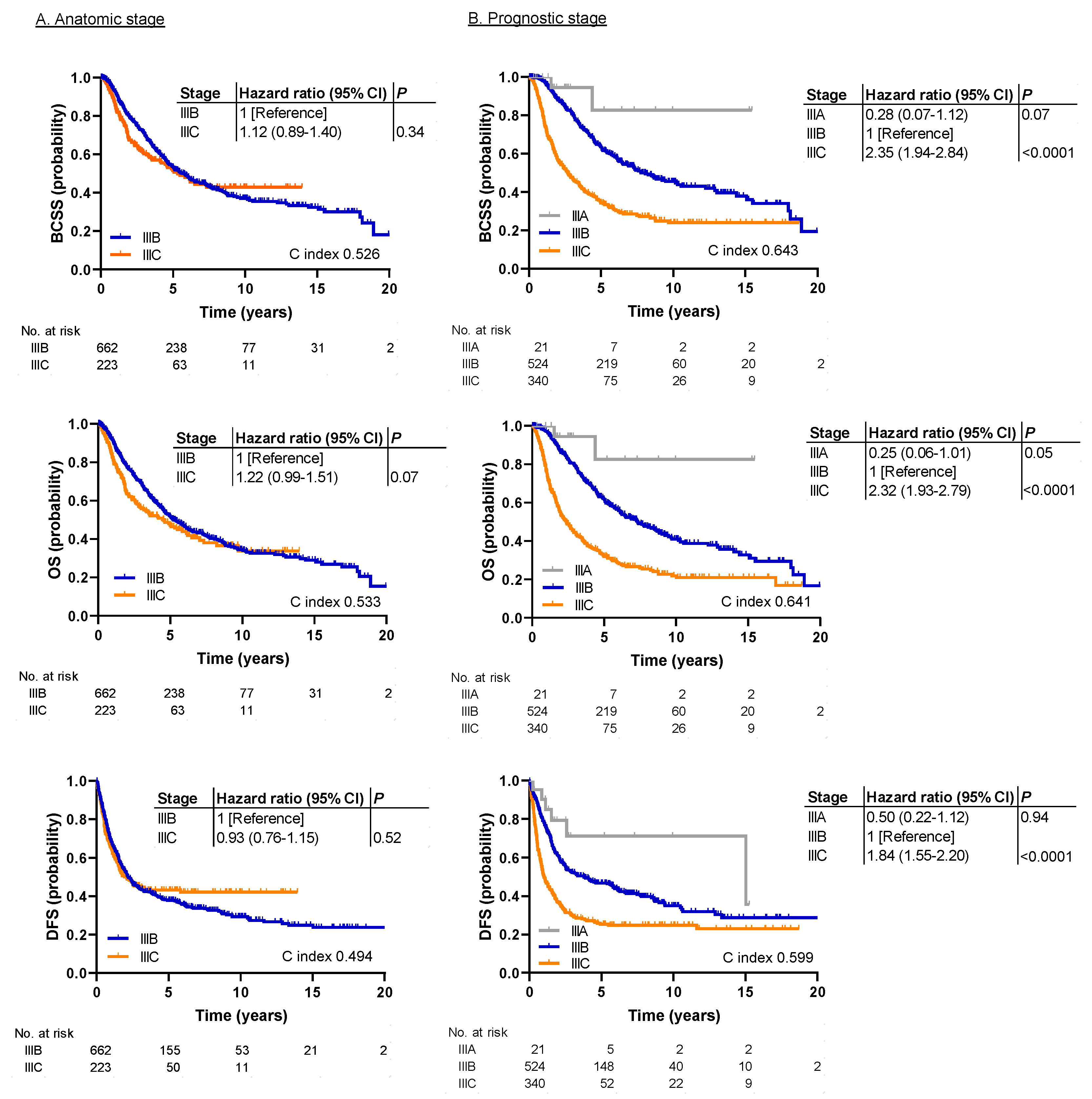 Validation of Prognostic Stage and Anatomic Stage in the American Joint ...