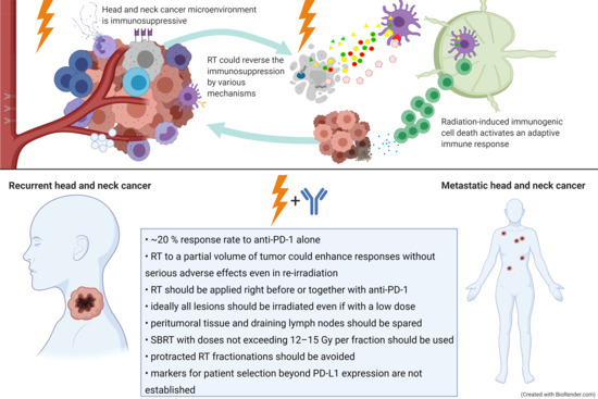 Cancers | Free Full-Text | Challenges in Combining Immunotherapy with Radiotherapy in Recurrent ...