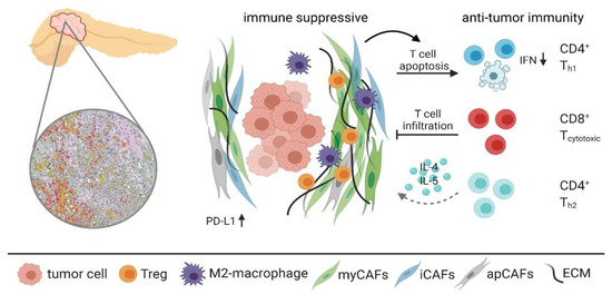 Recent Discoveries of Diagnostic, Prognostic and Predictive Biomarkers ...